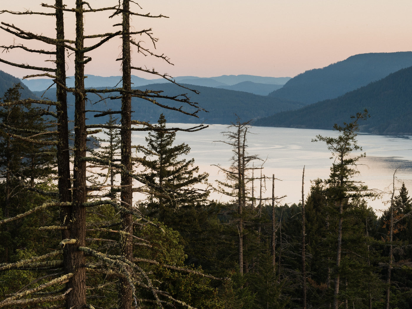Natural Soap Bars Made in Canada Handmade Soap