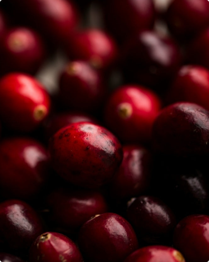 A reasonably comprehensive set of shampoo bar questions and answers